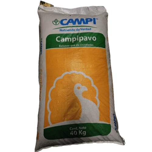Campi